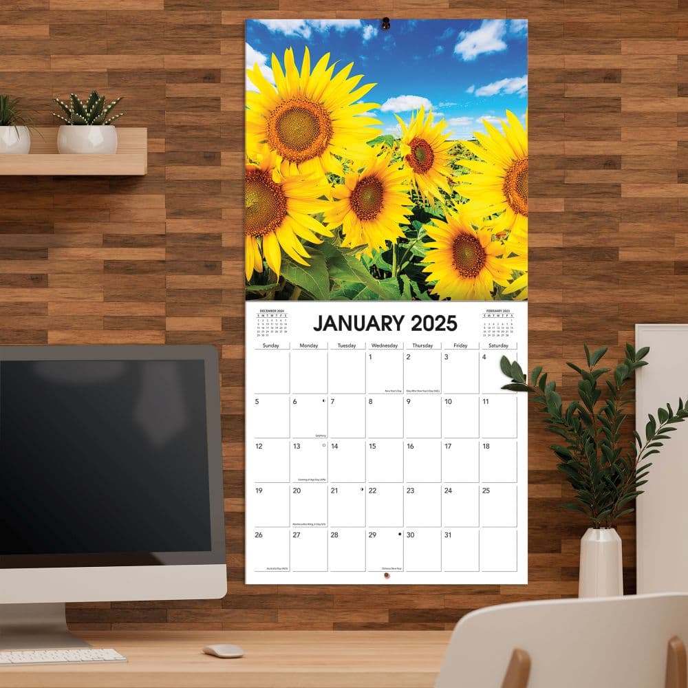 Sunflowers 2025 Wall Calendar - Calendars.com