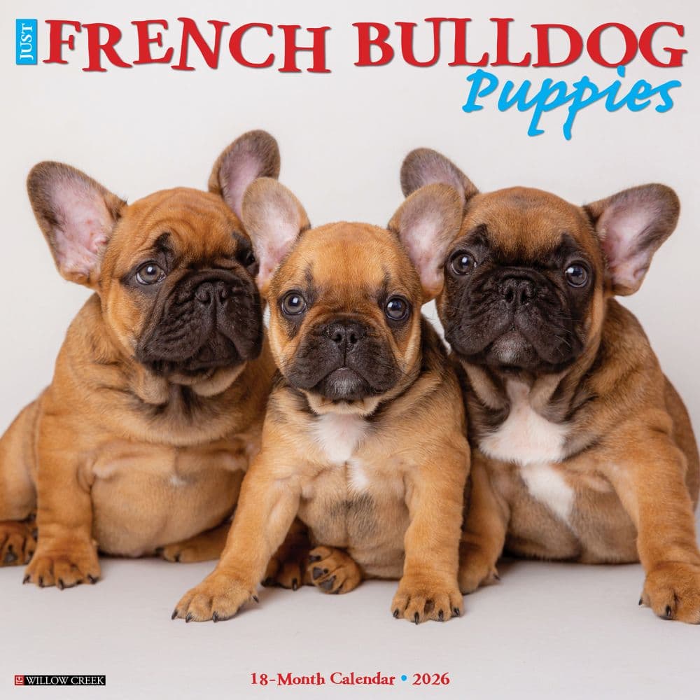 Just French Bulldog Puppies 2026 Wall Calendar - Calendars.com