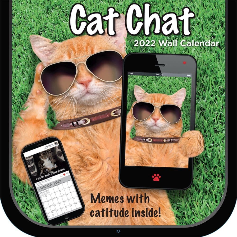 29 Best 2022 Cat Calendars - CalendarBuy.com