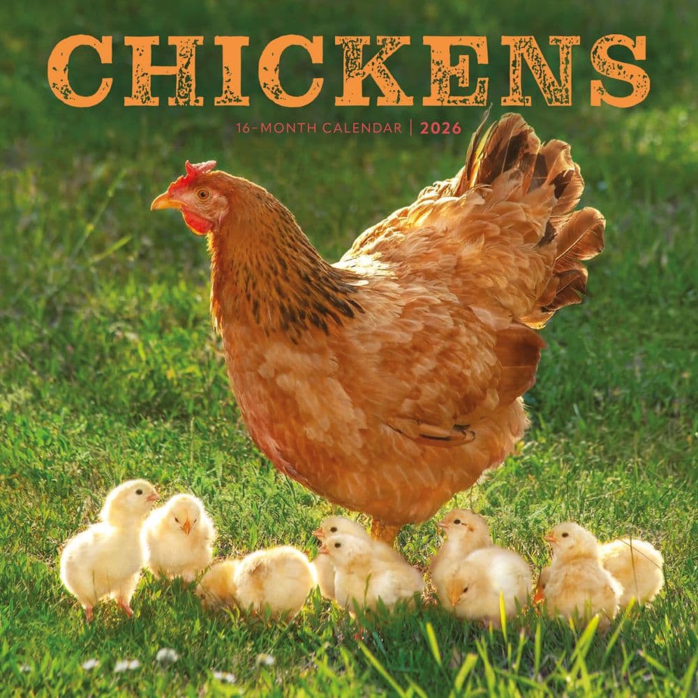 Chickens 2026 Wall Calendar - Calendars.com