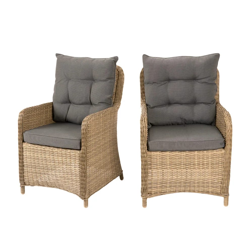 2-Piece Resin Wicker Chairs with Cushions